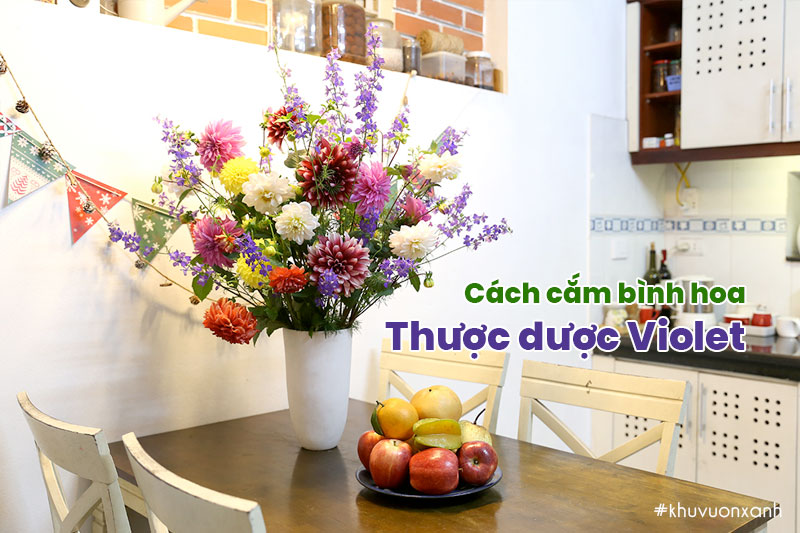 Ý nghĩa của hoa Violet là gì? Cách cắm bình hoa Thược dược và Violet ...