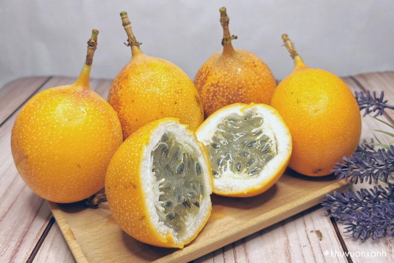 Cây chanh dây (Chanh leo) - Cách trồng và chăm sóc để cây ra sai quả